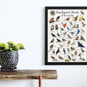 Backyard Birds of Kentucky Bird Identification Poster / Bird Field ...