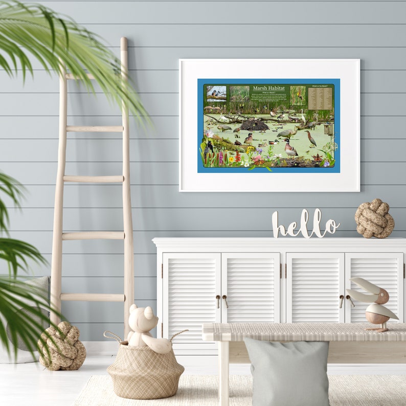 Marsh Habitat Wetland Educational Nature Poster / Fun Kids - Etsy