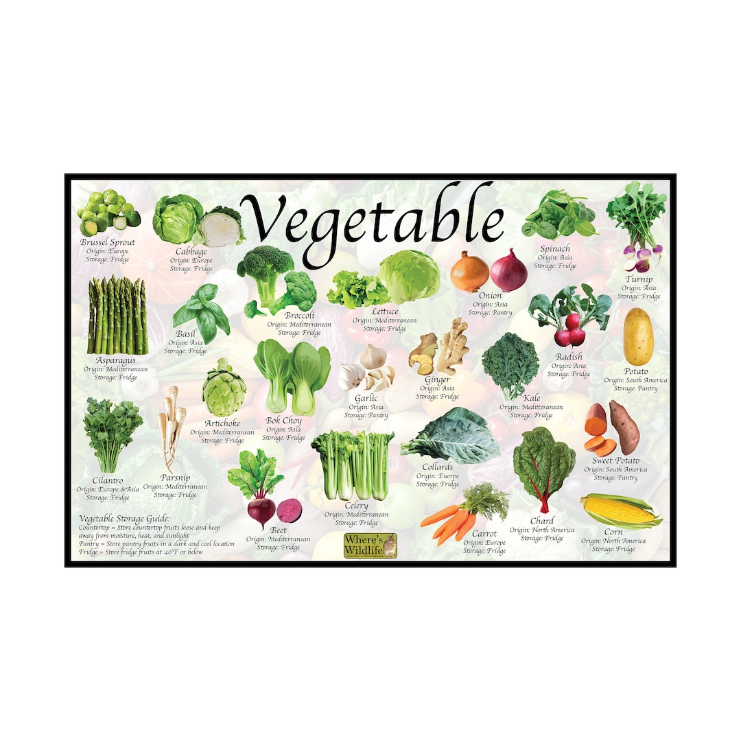 Vegetable Poster / Culinary Poster Providing Origin, Best Storage, and ...