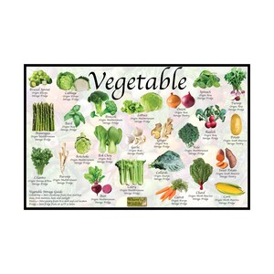 Vegetable Poster / Culinary Poster Providing Origin, Best Storage, and ...