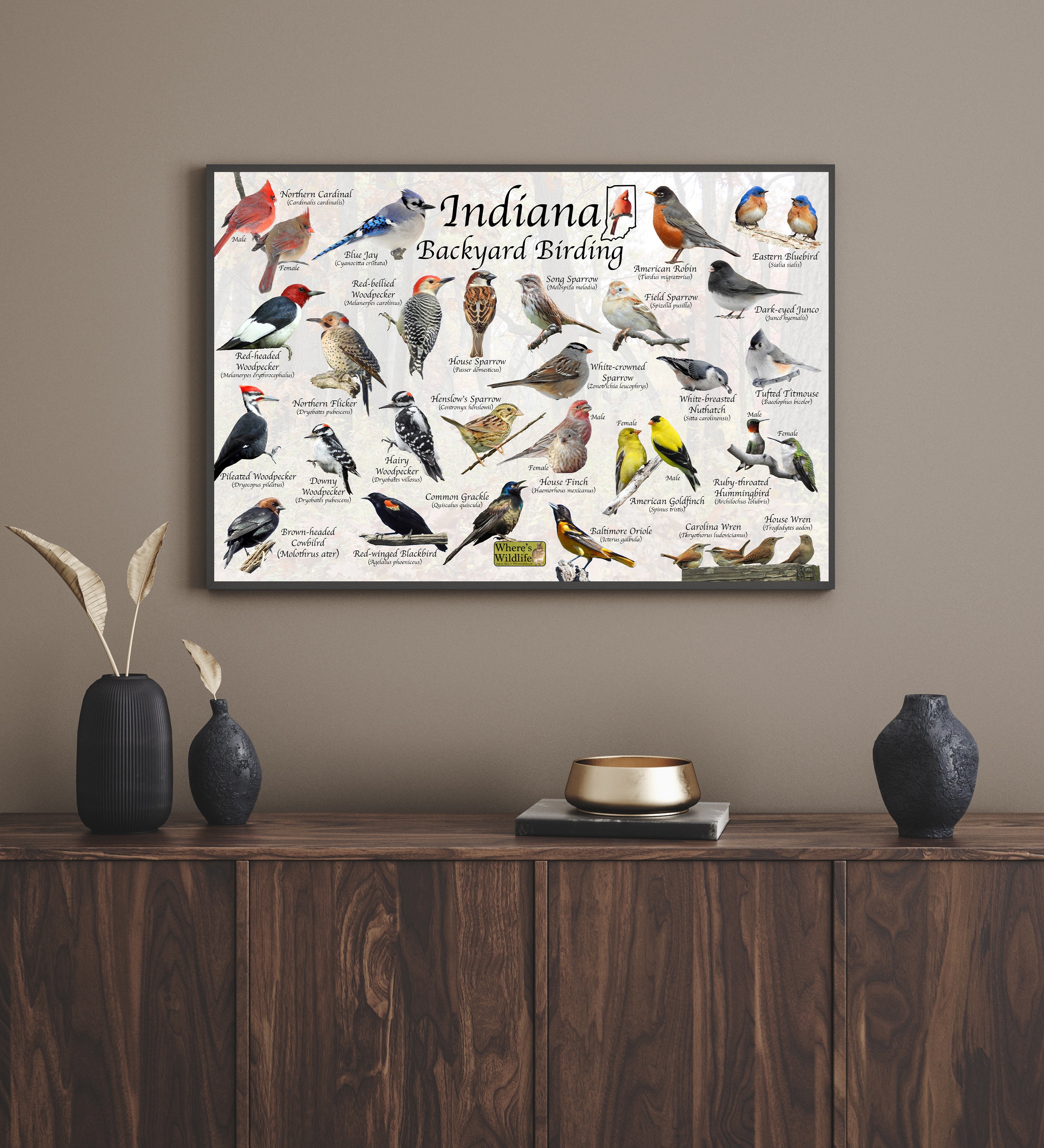 Birds of Indiana Backyard Birding Identification Chart - Field Guide to ...