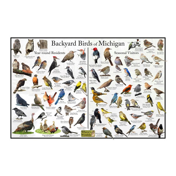 Michigan Poster - Etsy