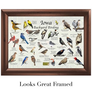Birds of Iowa Backyard Birding Identification Picture Print / Great ...