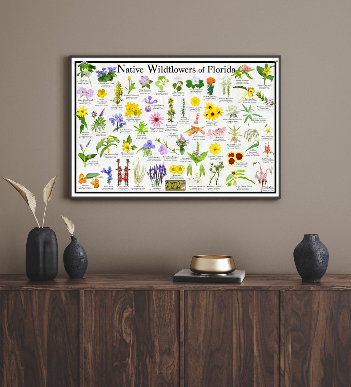 Native Wildflowers of Florida / State Flower Field Guide - Etsy