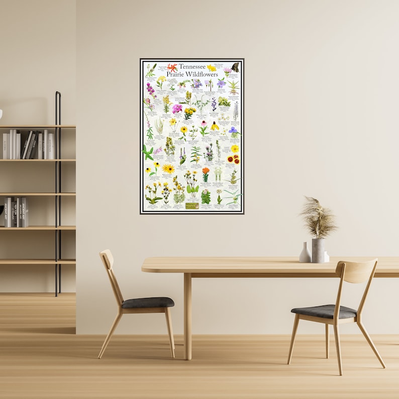 Tennessee Prairie Wildflower Poster / State Flower Guide Providing ...