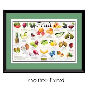 Fruit Chart Poster / Culinary Poster Providing Origin, Best Storage ...