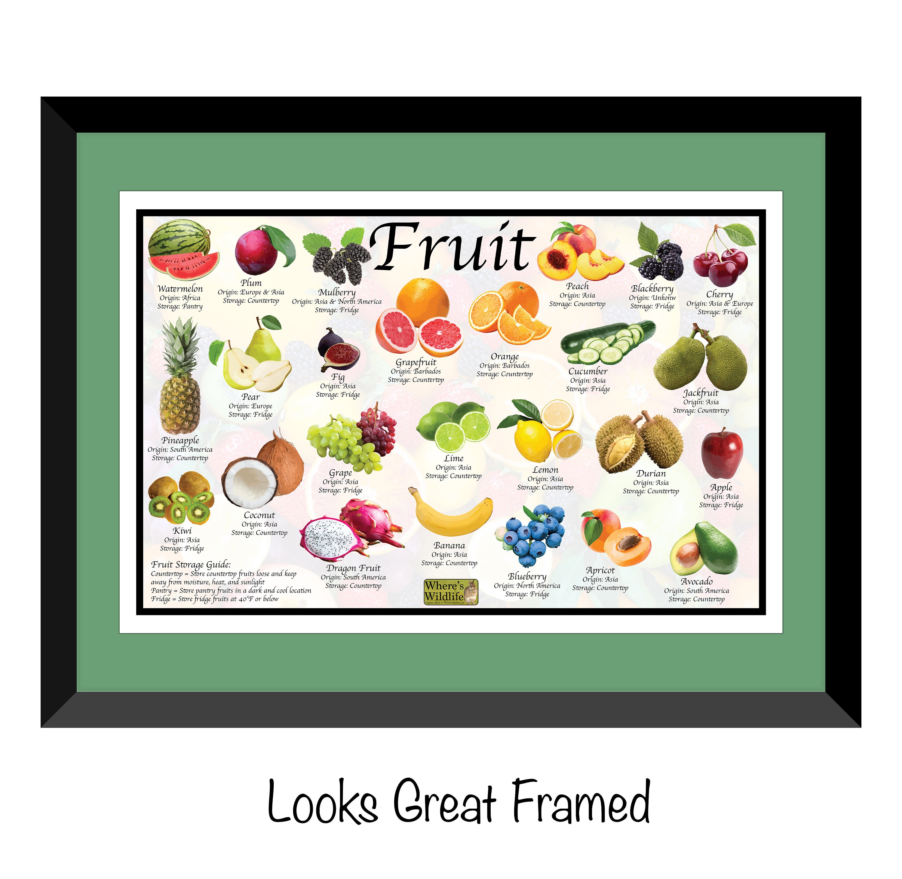 Fruit Chart Poster / Culinary Poster Providing Origin Best - Etsy