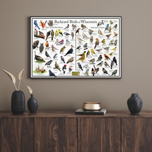 Backyard Birds of Wisconsin Bird Identification Poster Divided Into ...