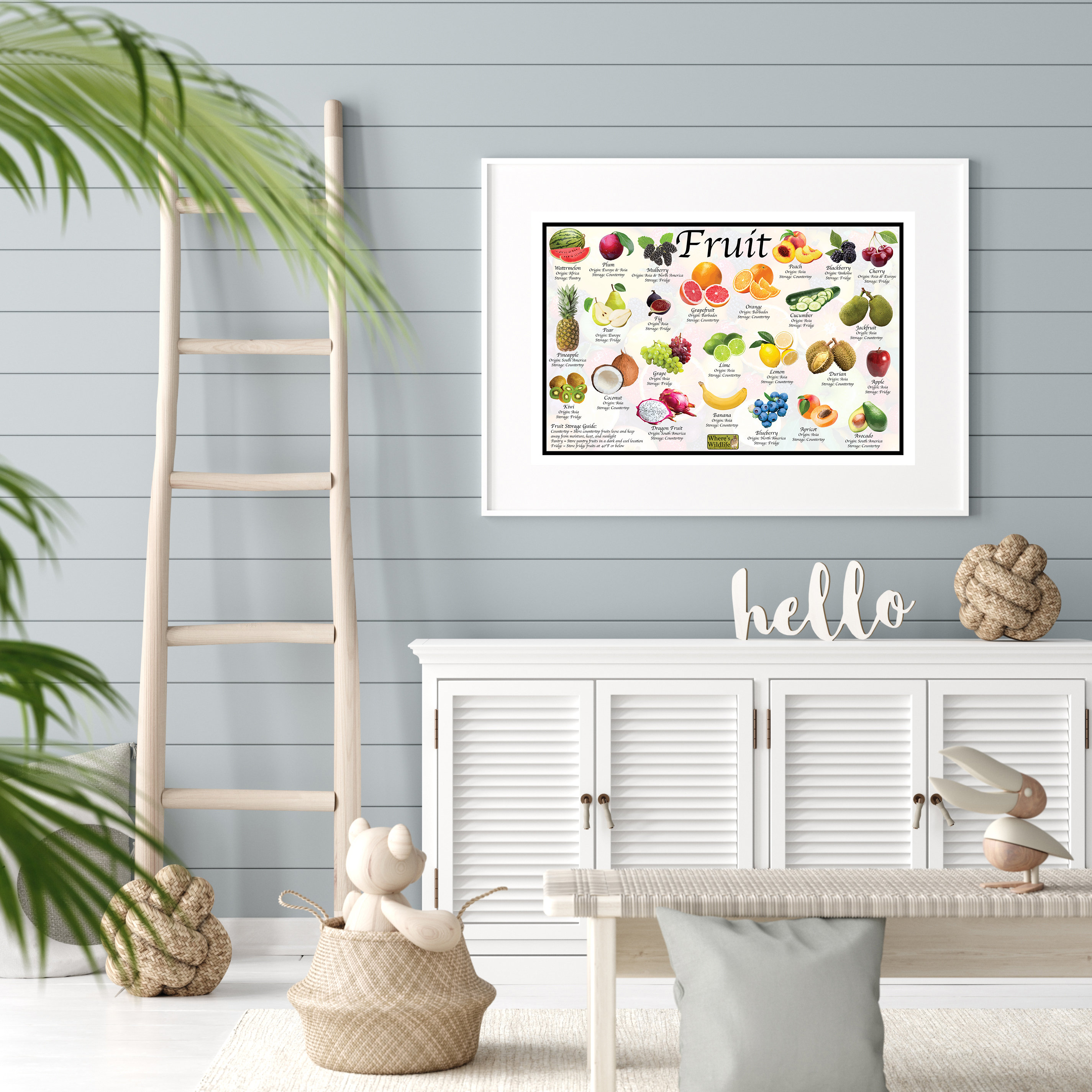 Fruit Chart Poster / Culinary Poster Providing Origin, Best Storage ...