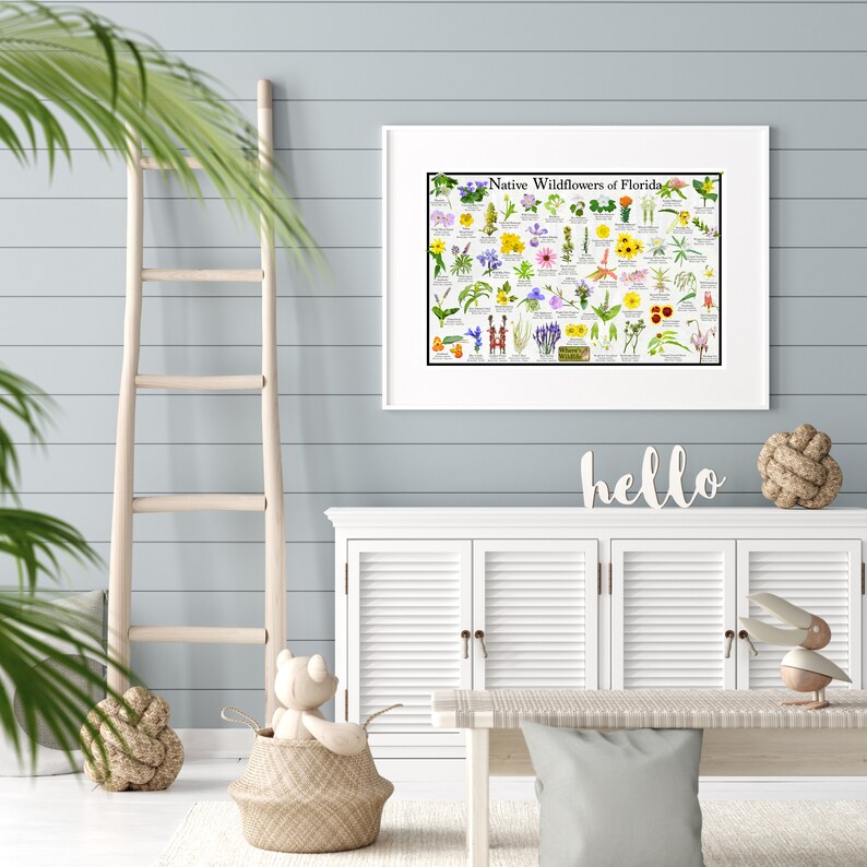 Native Wildflowers of Florida / State Flower Field Guide - Etsy