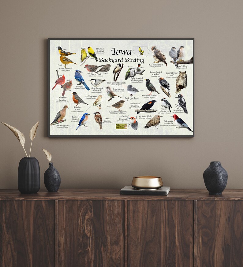 Birds of Iowa Backyard Birding Identification Picture Print / - Etsy