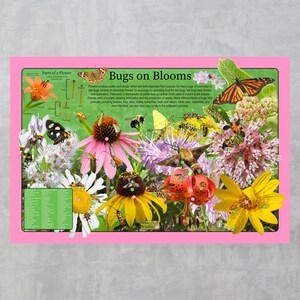 Bugs on Bloom's Educational Nature Poster / Fun Kids Wildlife Poster ...