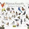Backyard Birds of Minnesota Bird Identification Poster / Bird Field ...