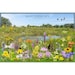 Marsh Habitat Wetland Educational Nature Poster / Fun Kids Wildlife ...