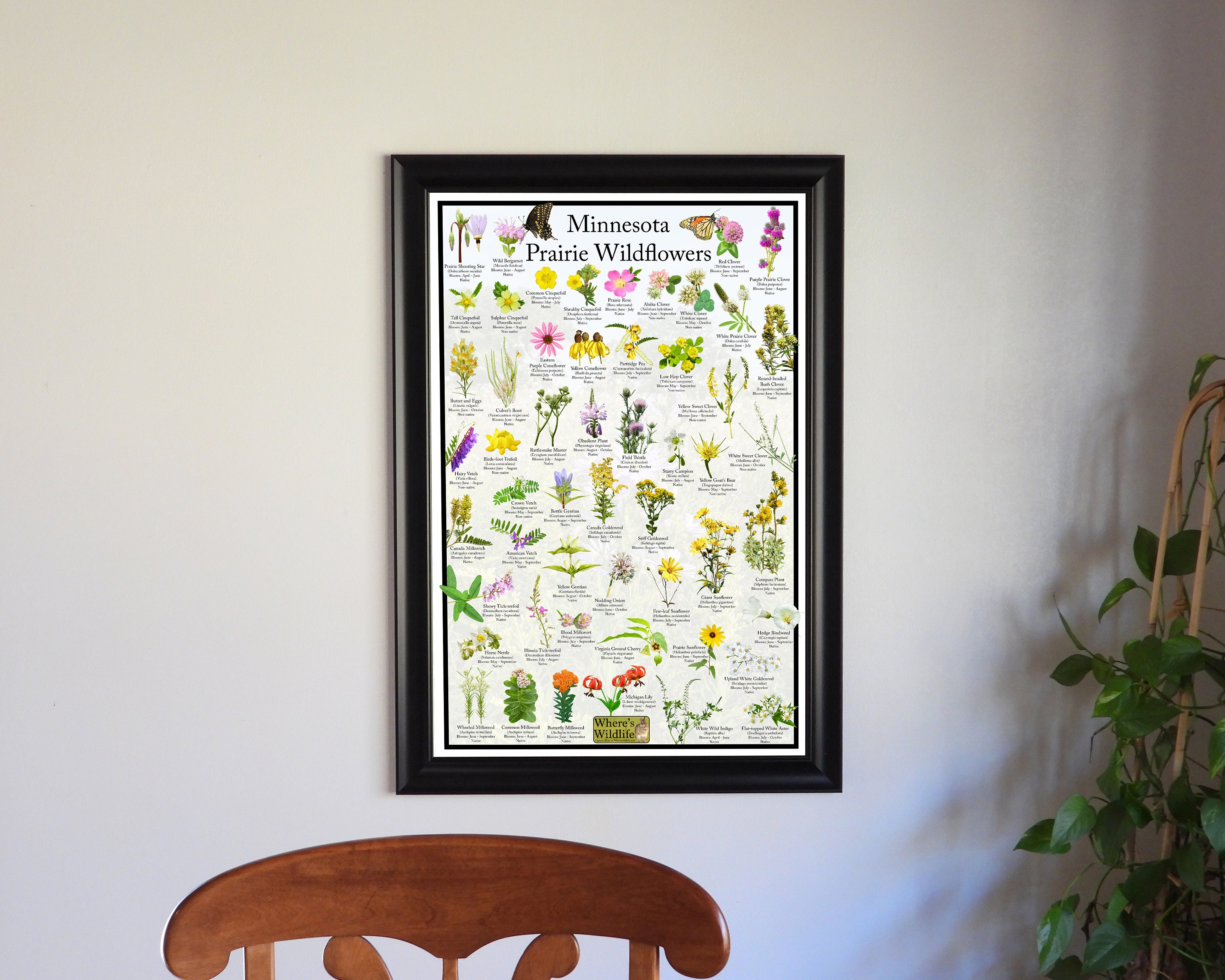 Minnesota Prairie Wildflowers Nature Poster / State Wildflower - Etsy