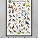 Birds of Ohio Backyard Birding Identification Picture Print/ Field ...