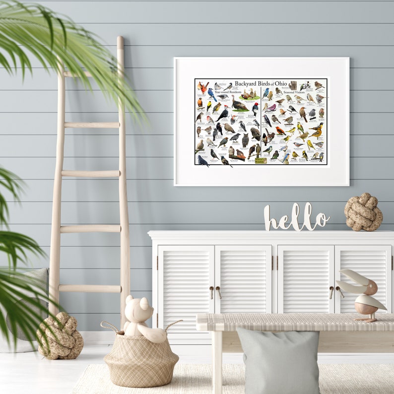 Backyard Birds of Ohio Bird Identification Poster Divided Into Year ...