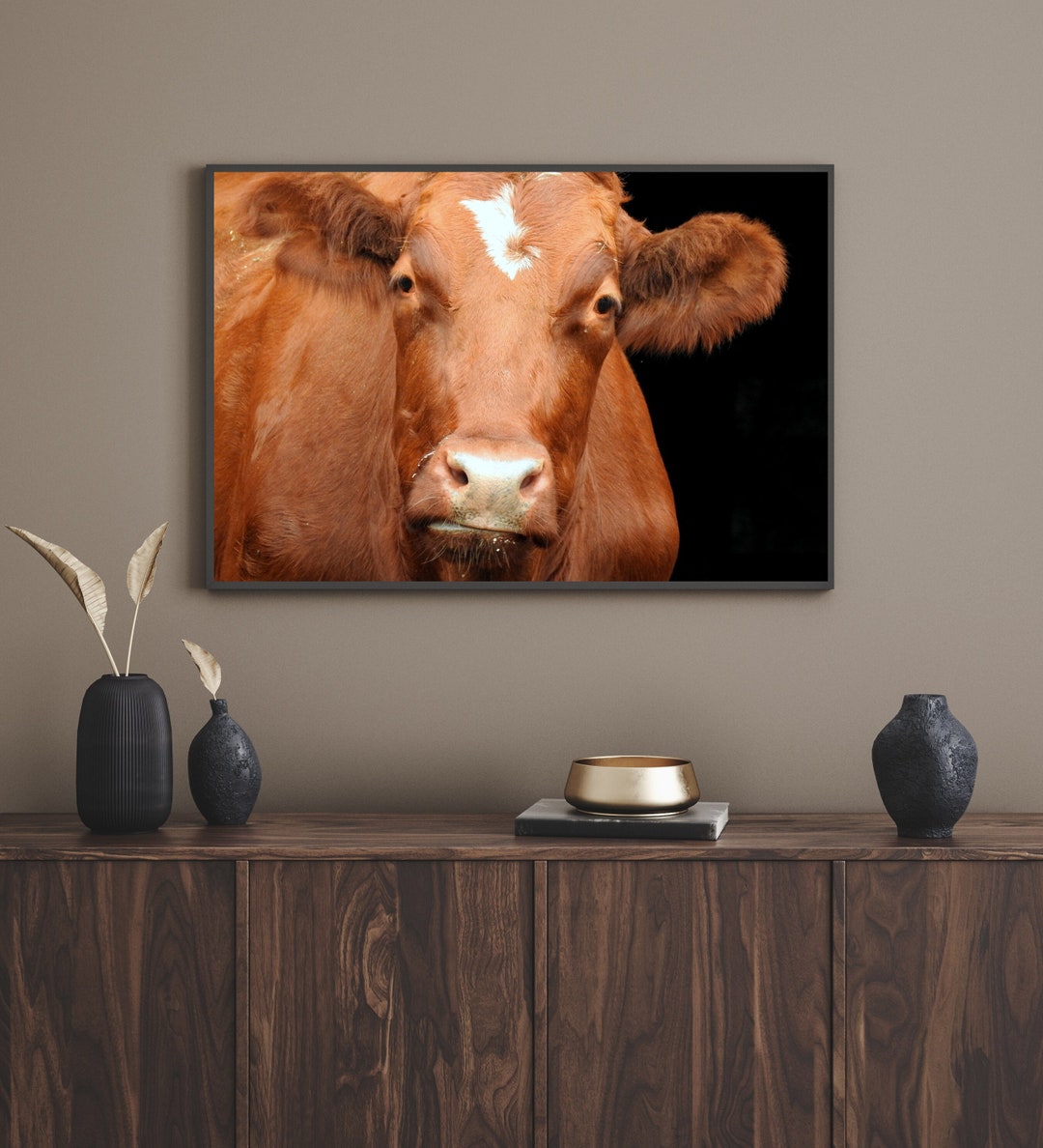 Sad Cow Funny Nature Photo Picture Digital Image Download / Printable ...