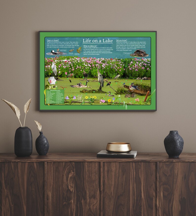 Life on a Lake Educational Nature Poster / Wildlife and Landscape ...