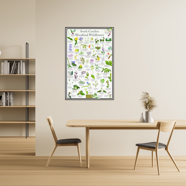 South Carolina Woodland Wildflower Identification Poster / Native ...
