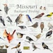 Birds of Missouri Backyard Birding Identification Picture Print / Great ...