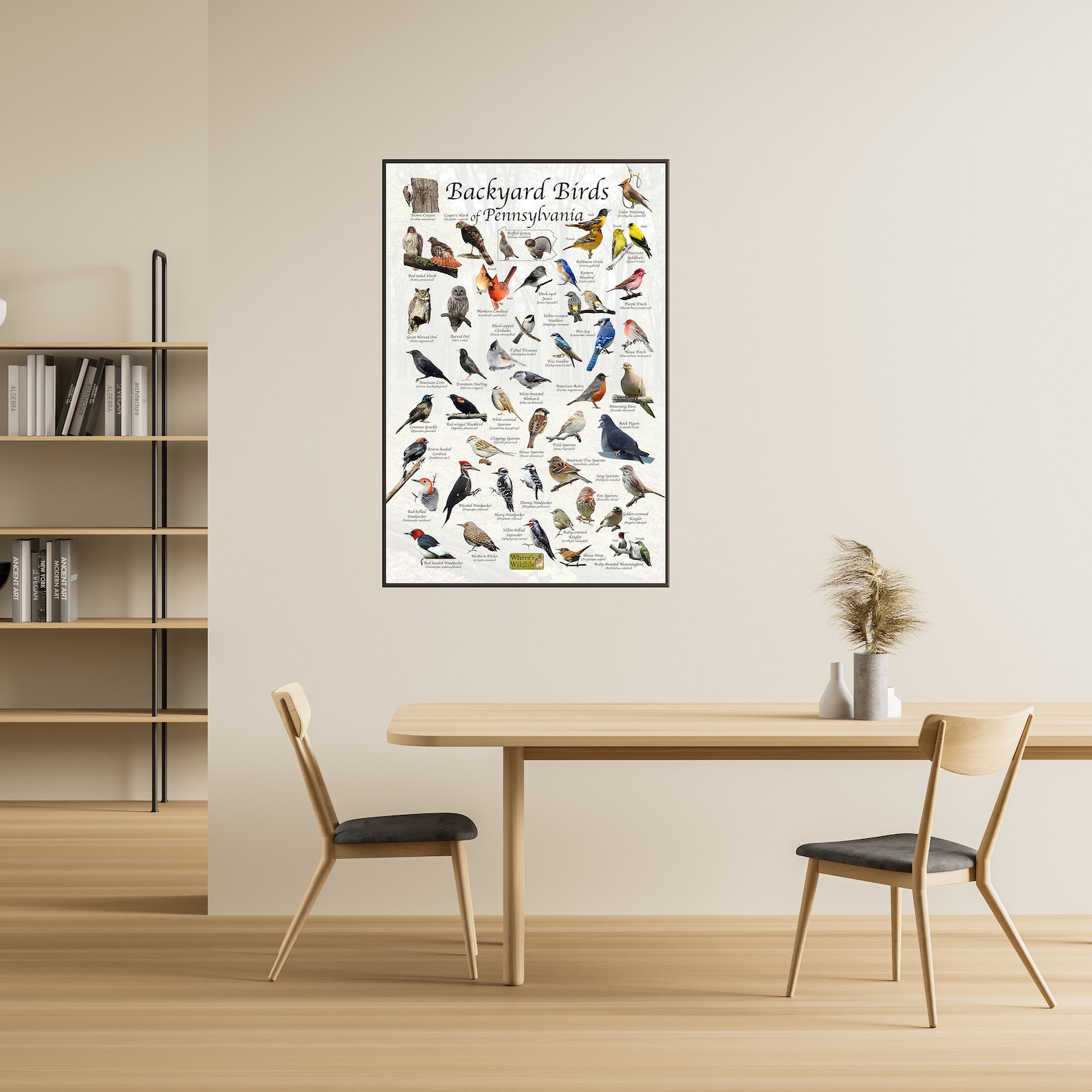 Backyard Birds of Pennsylvania Bird Identification Poster / Bird Field ...