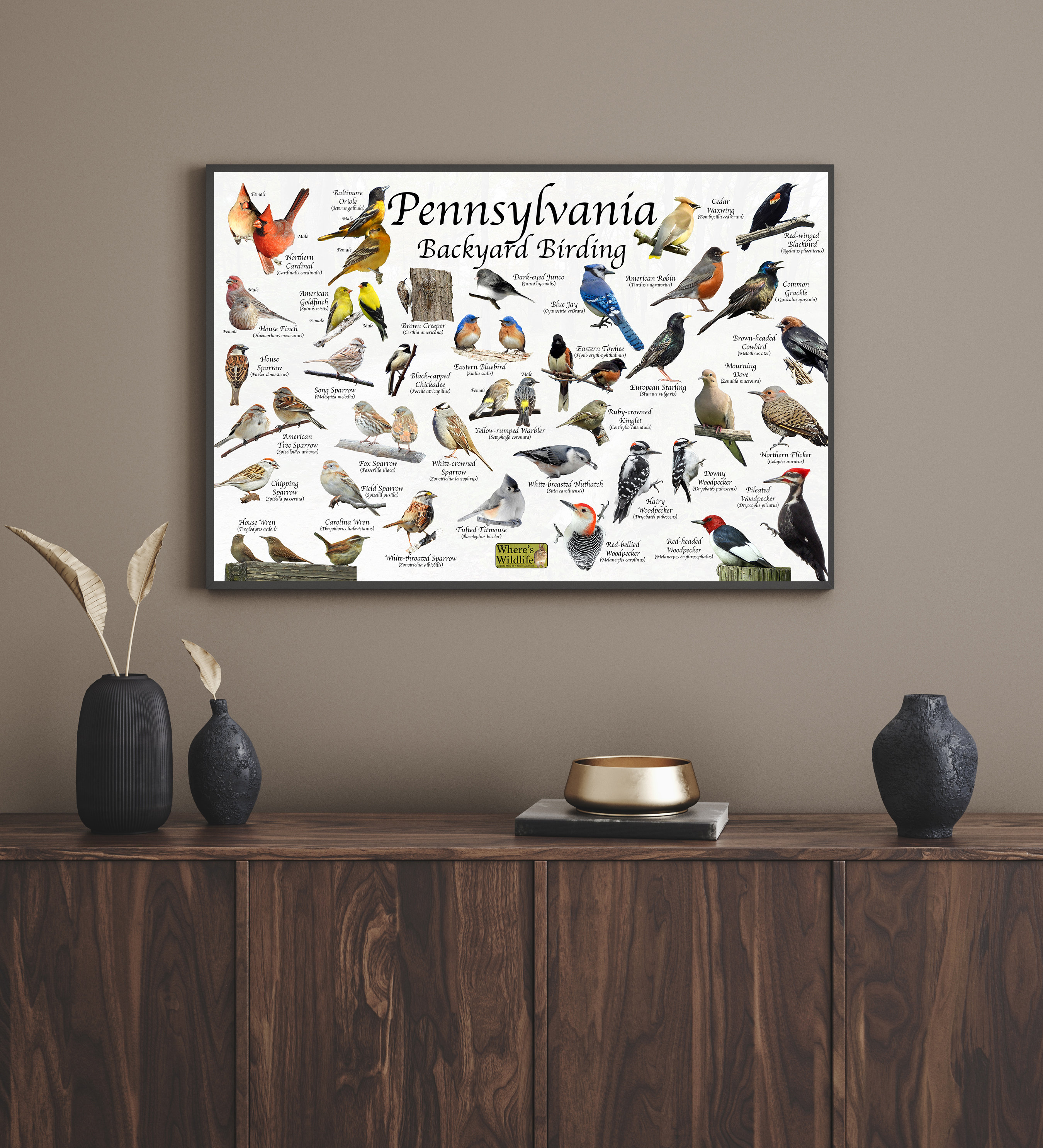 Birds of Pennsylvania Backyard Birding Identification Picture - Etsy ...