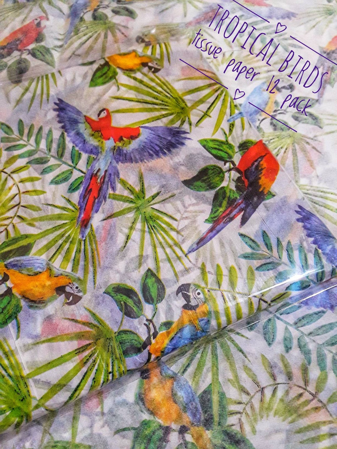 Tropical Birds Tissue Paper | 12 Sheets/pack 20x30 Inch | Gift ...