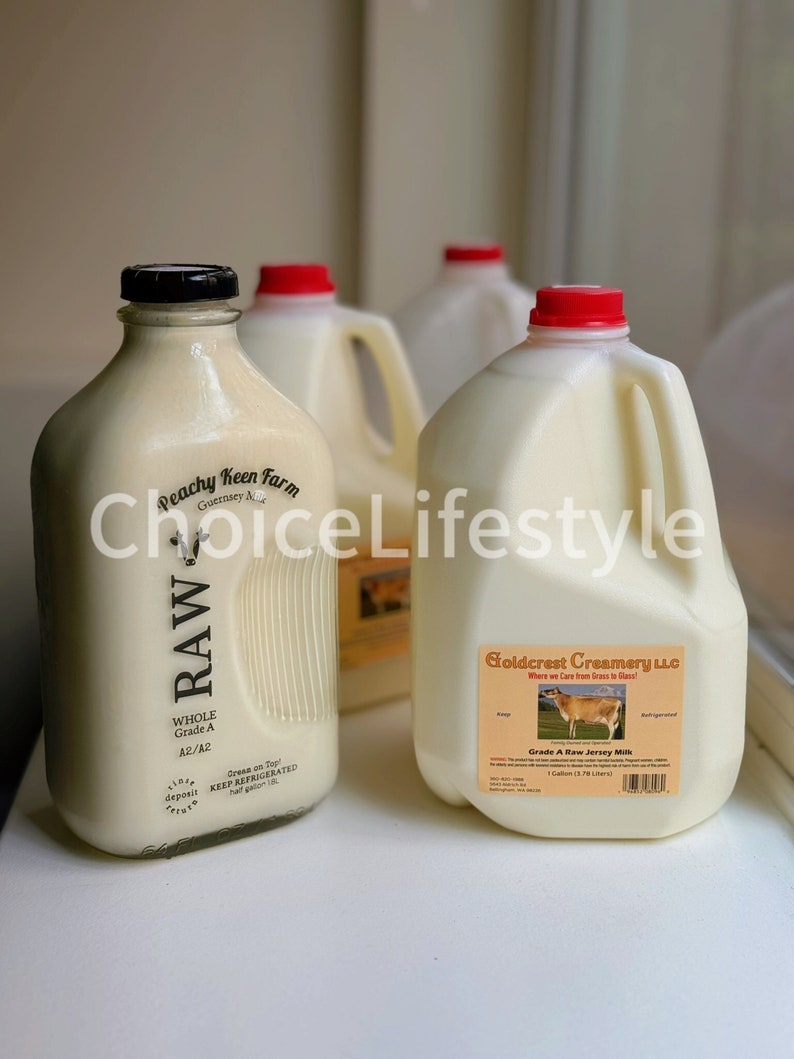 Rare Tibetan RAW MILK Kefir Grains 1 Tablespoon TBSP Tibet Superior ...