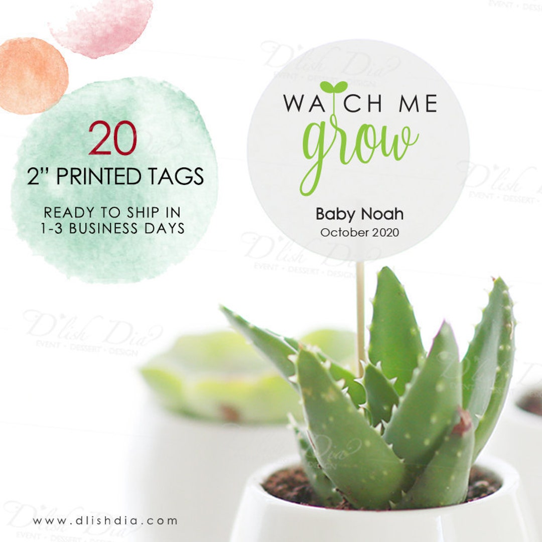 20 Custom Watch Me Grow Tags,printed Watch Me Grow Tags,succulent Favor ...