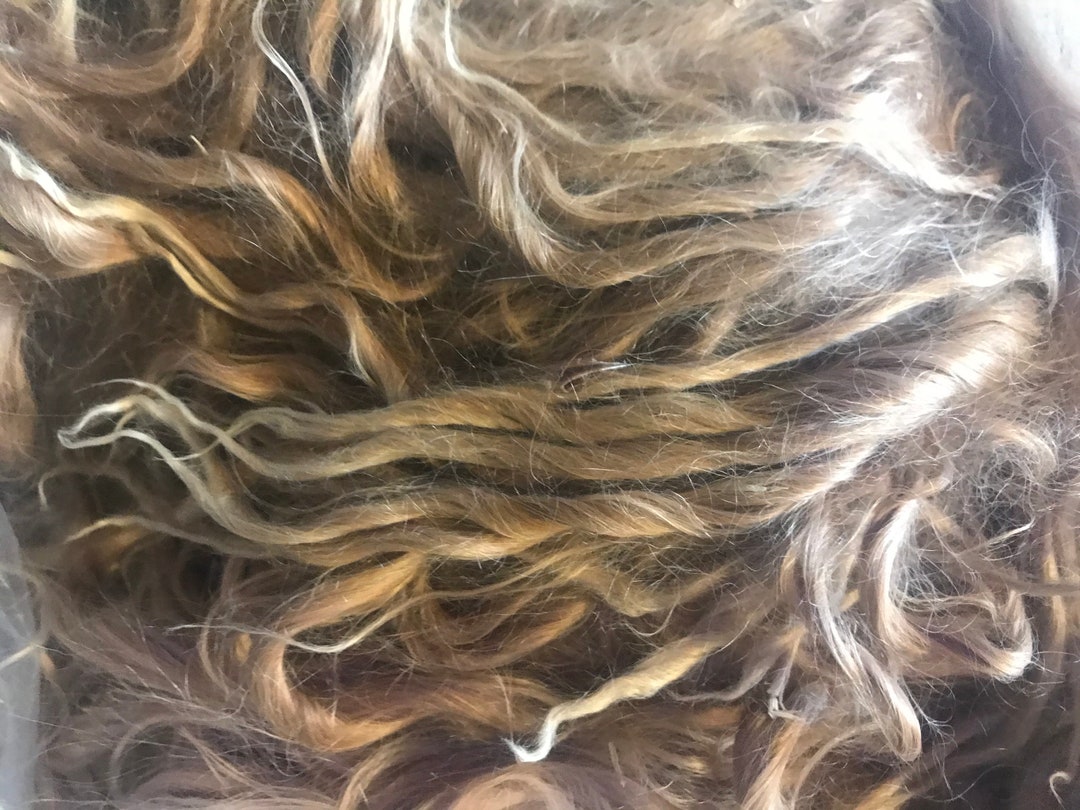 Raw Suri Alpaca Fleece, Beige, Fawn, Brown Fiber for Spinning, Felting ...