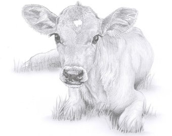 Cow drawing | Etsy