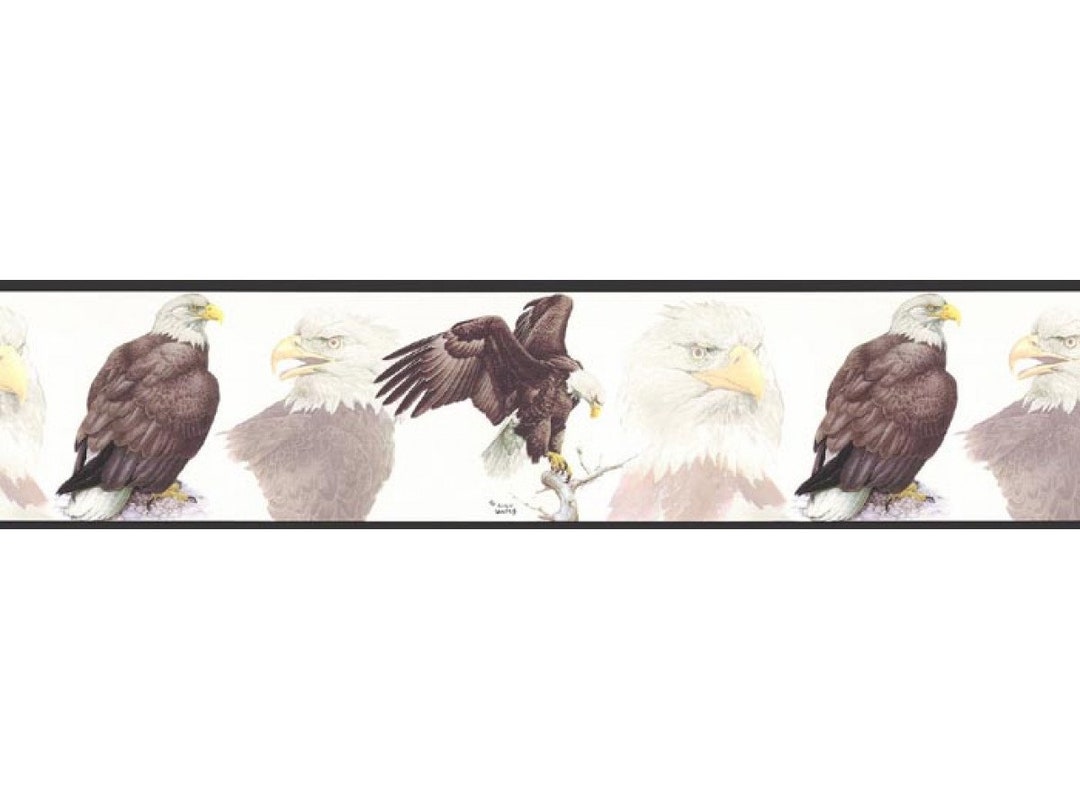 7 in X 15 Ft Eagle Wallapaper Border GL76379 - Etsy