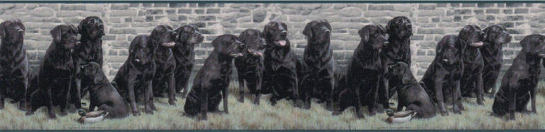 Prepasted Wallpaper Borders Dogs Wallpaper Border B102692 - Etsy