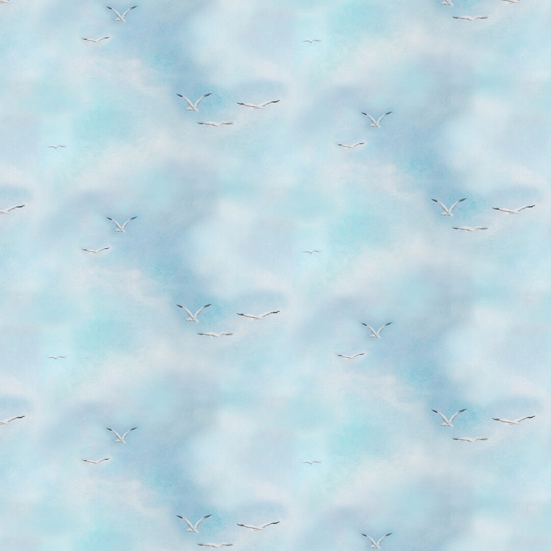 Turtle March Cloud Texture Blue by Lisa Marie Sparling for Henry Glass ...