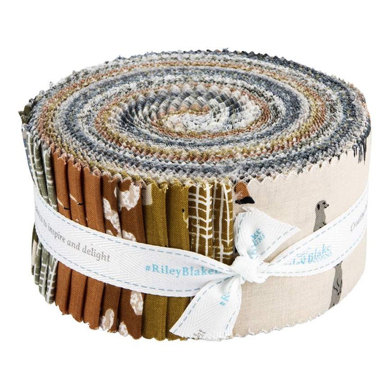 Riley Blake Fabric - Etsy