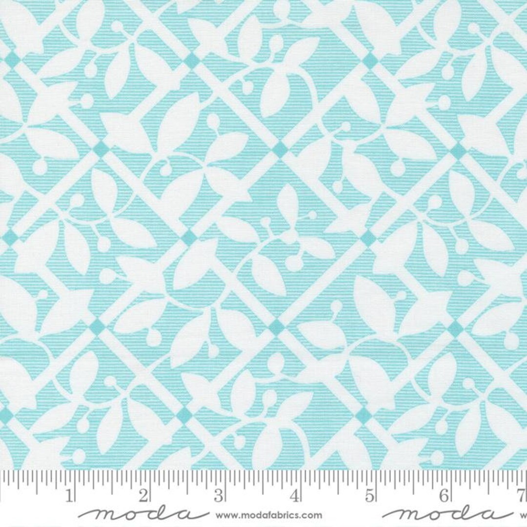 Picnic Pop! Trellis Awesome Aqua by Me & My Sister Designs for Moda ...