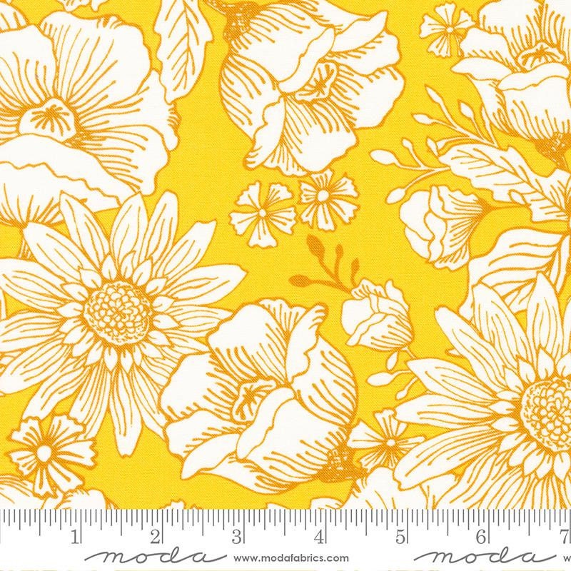 Kate Spain Fabric - Etsy