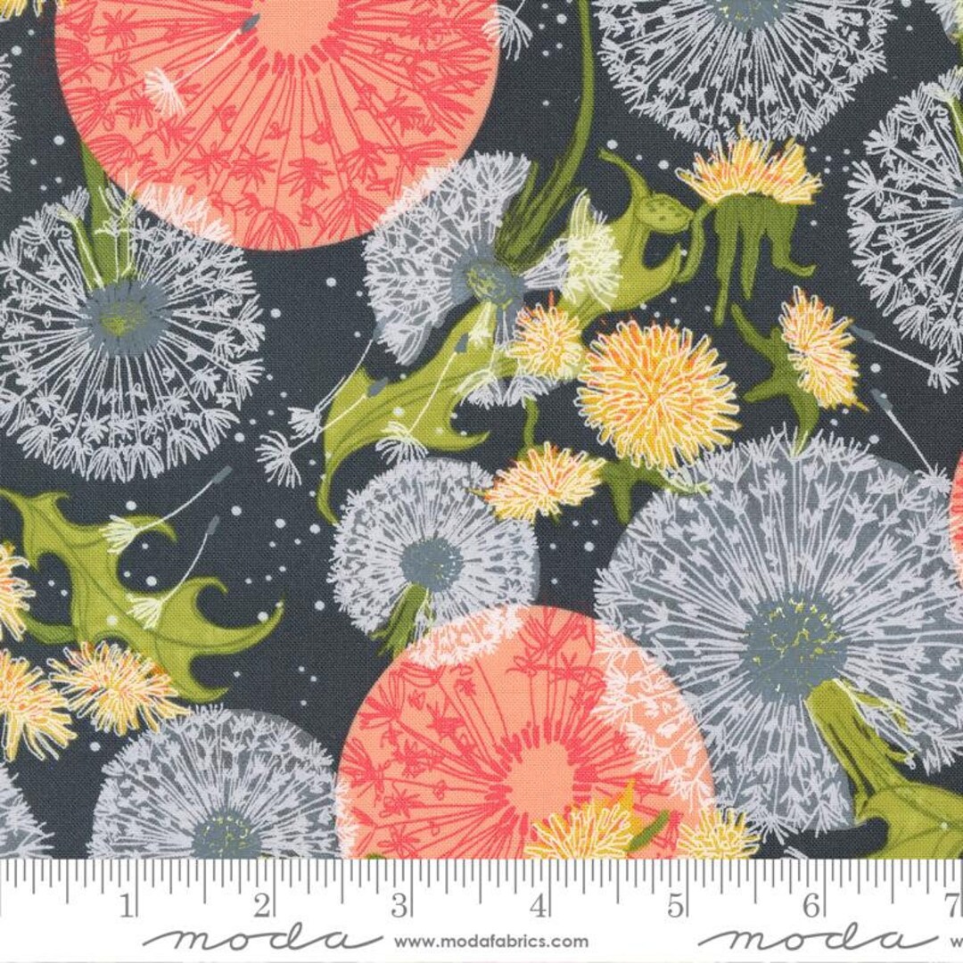 Dandi Duo Dandelions Fields Graphite by Robin Pickens for Moda Fabrics ...