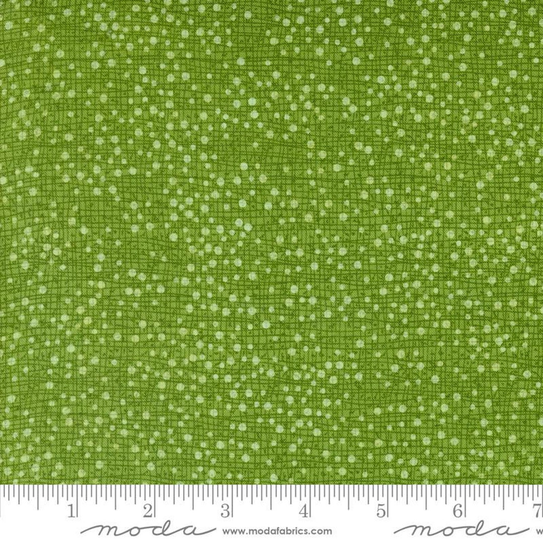 Dotty Thatched (winterly) Grass by Robin Pickens for Moda Fabrics 48715 ...