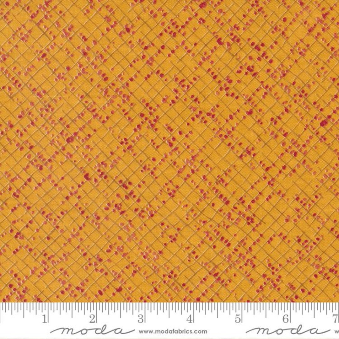 Wild Blossoms Blotted Graph Paper Honeycomb by Robin Pickens for Moda ...