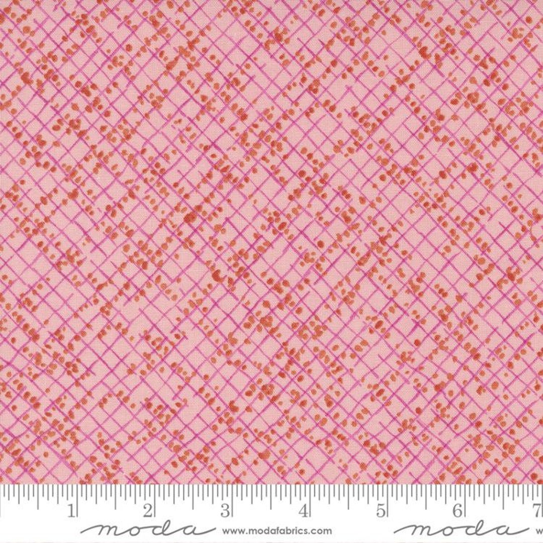 Wild Blossoms Blotted Graph Paper Princess by Robin Pickens for Moda ...