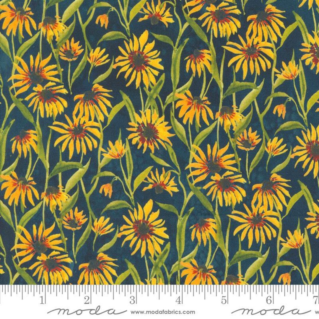 Floribunda Blackeyed Suzie Q Midnight by Create Joy Project for Moda ...