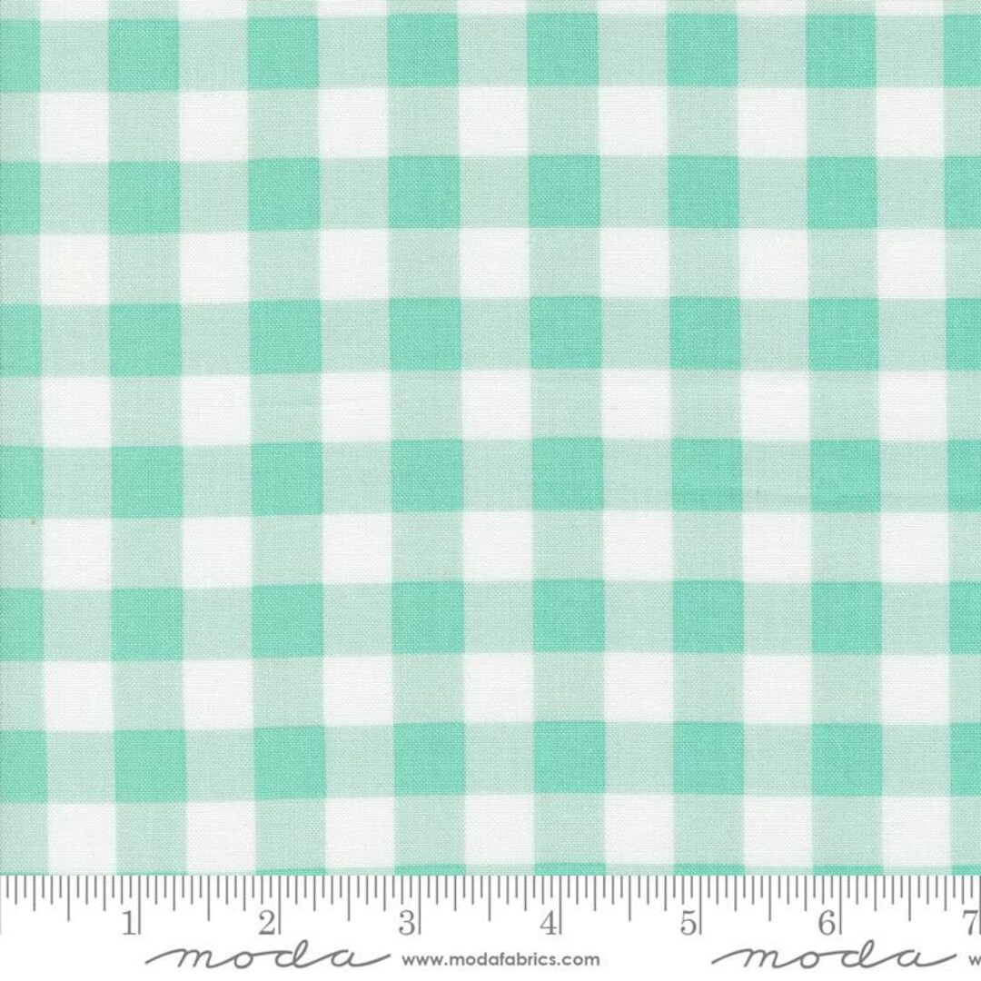 Coriander Colors Checks and Plaid Aqua by Corey Yoder for Moda Fabrics ...
