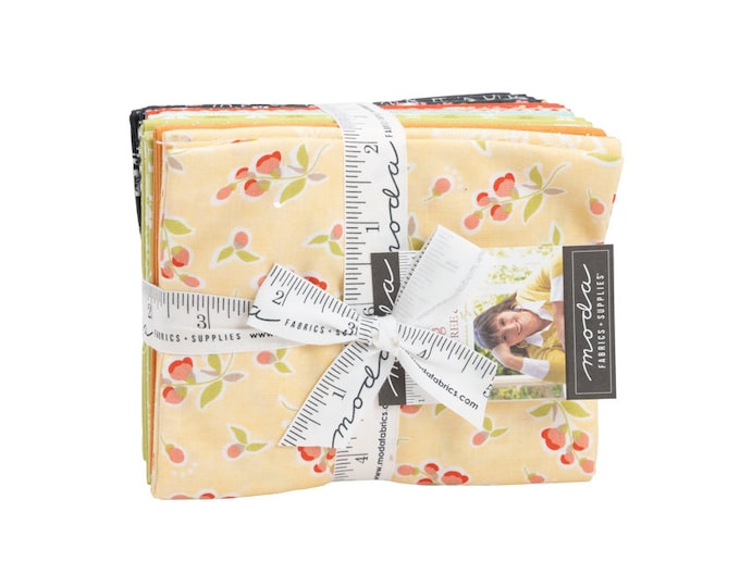 Tula Pink Designer Solids Fat Quarter Pack. 22 Fat Quarters. Free ...