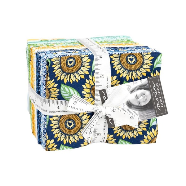 Kate Spain Fabric - Etsy