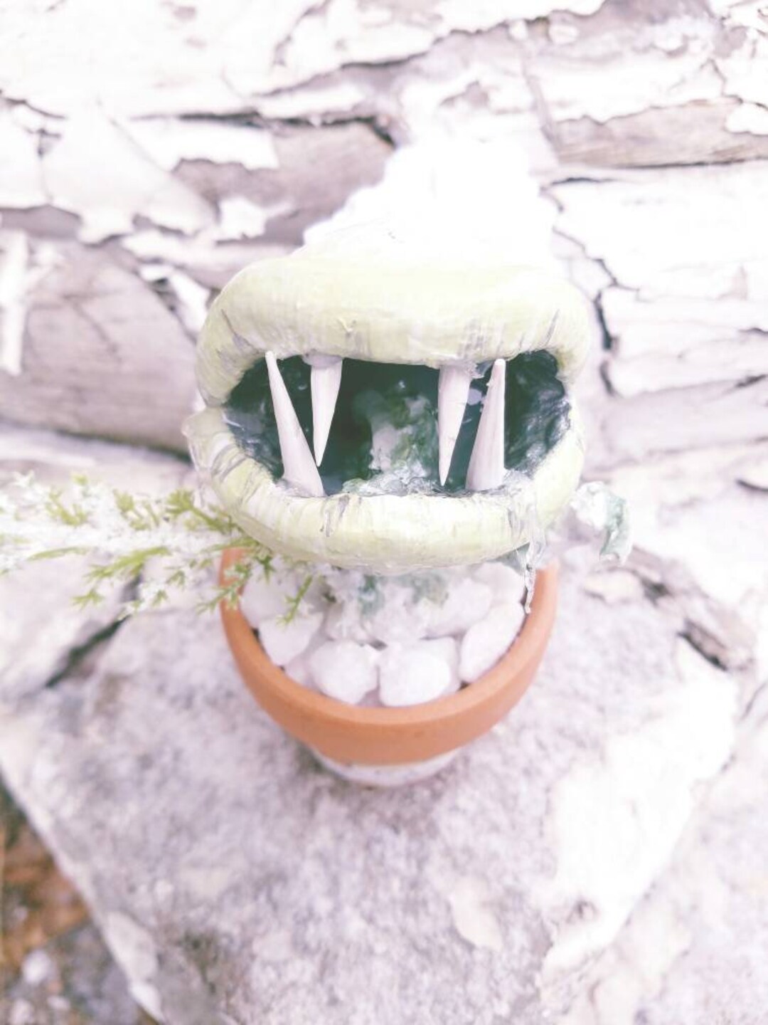 Abominable Snowplant Abominable Snowman Snow Plant Monster Snow Plant ...