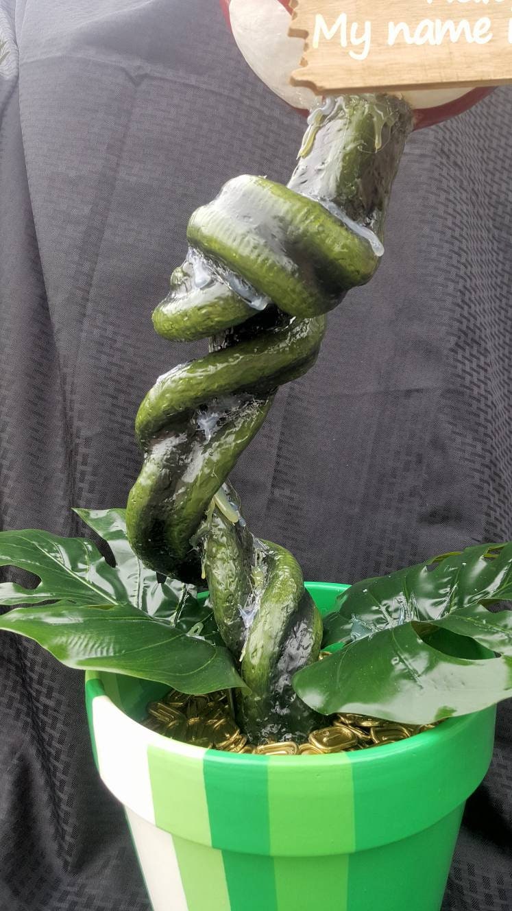 Mario Piranha Plant Super Mario Brothers Plant Sewer Plant Mario ...