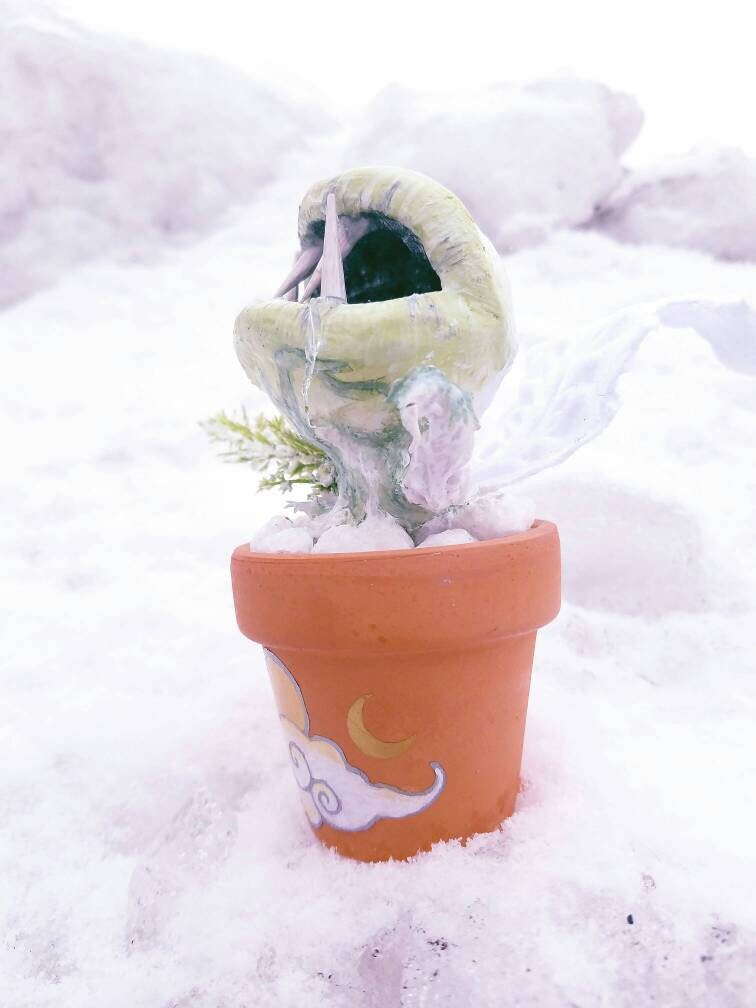 Abominable Snowplant Abominable Snowman Snow Plant - Etsy