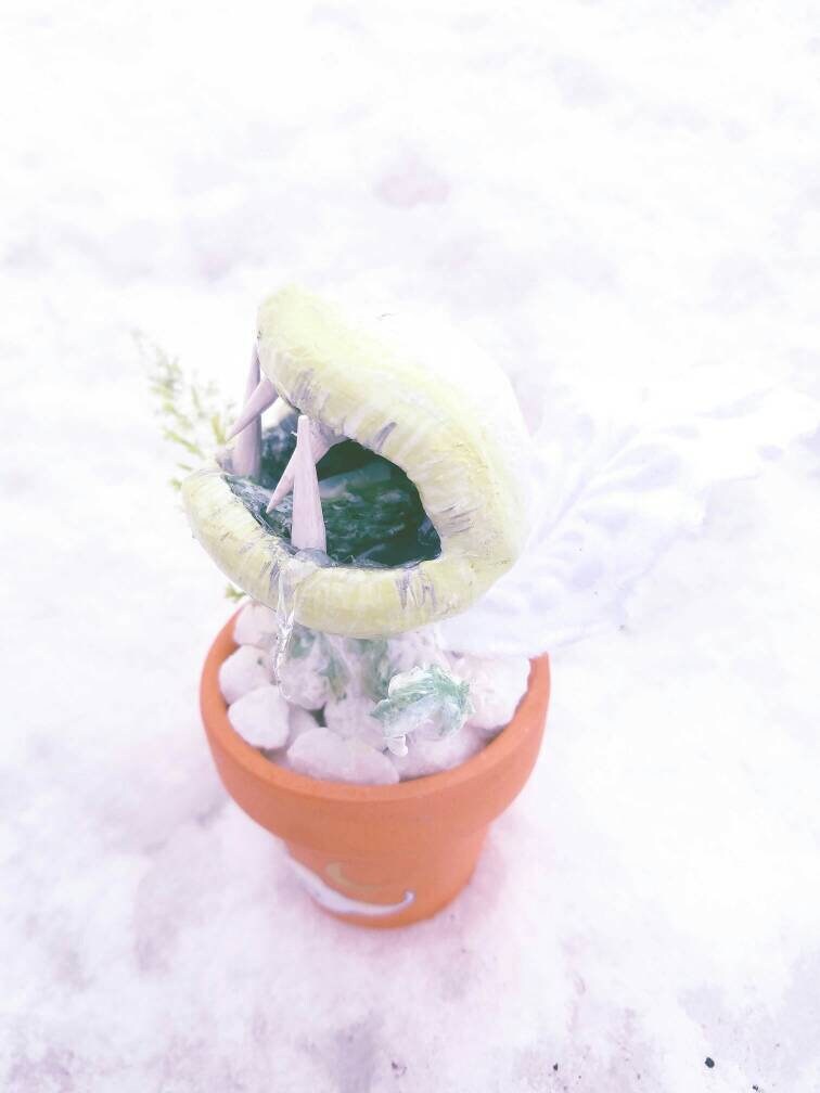 Abominable Snowplant Abominable Snowman Snow Plant - Etsy